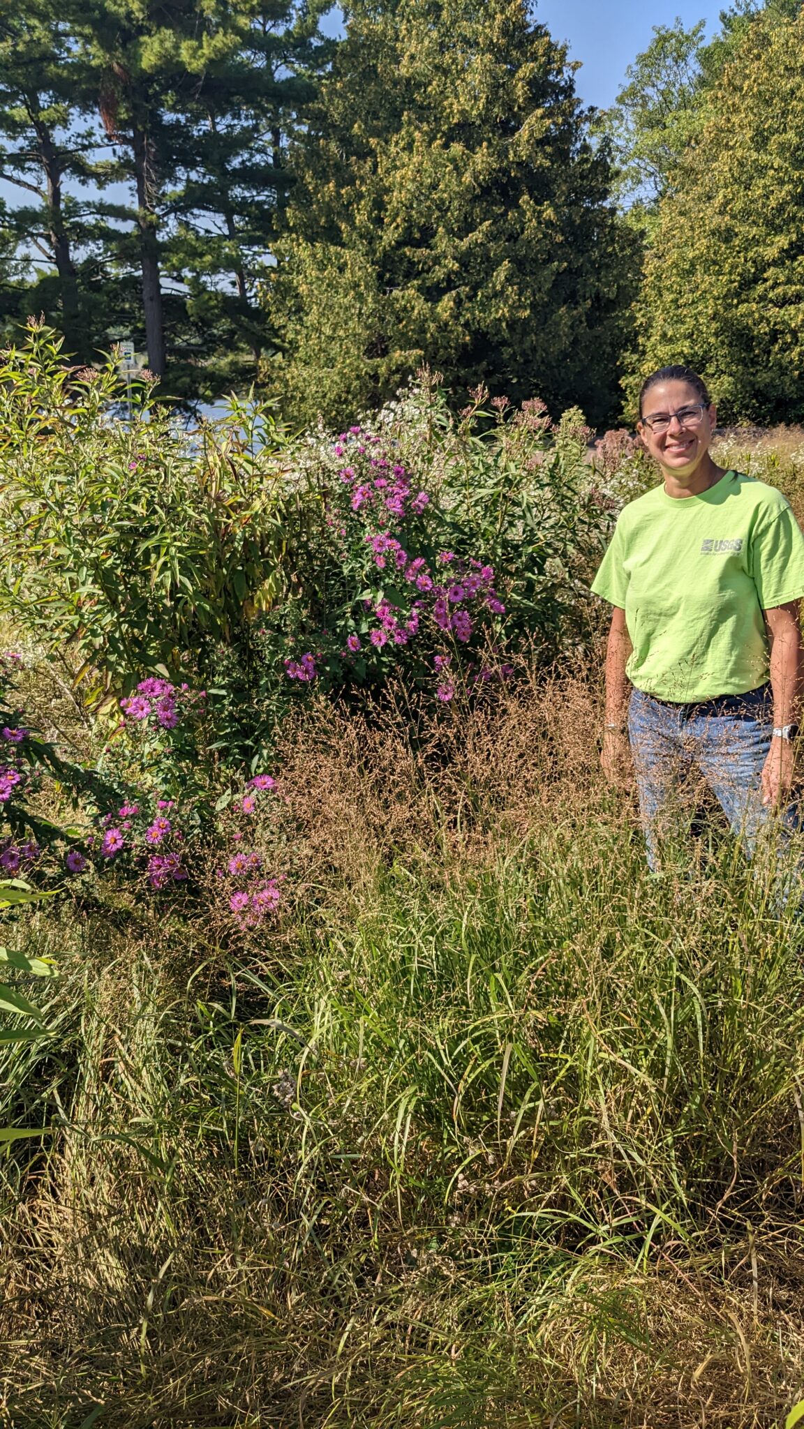 Test indicates Hancock Beach bioswale protecting Portage Lake from ...